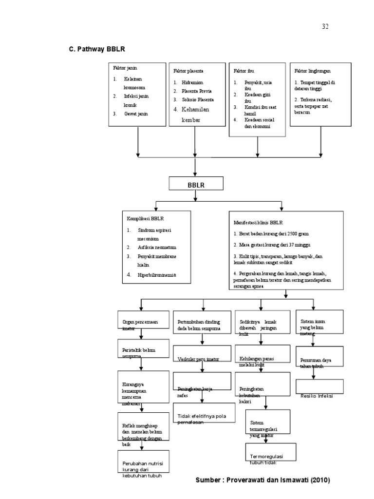 Pathway BBLR New New | PDF