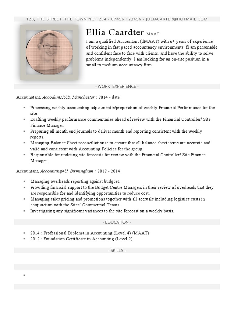 2 Pages CV-template 1 | PDF