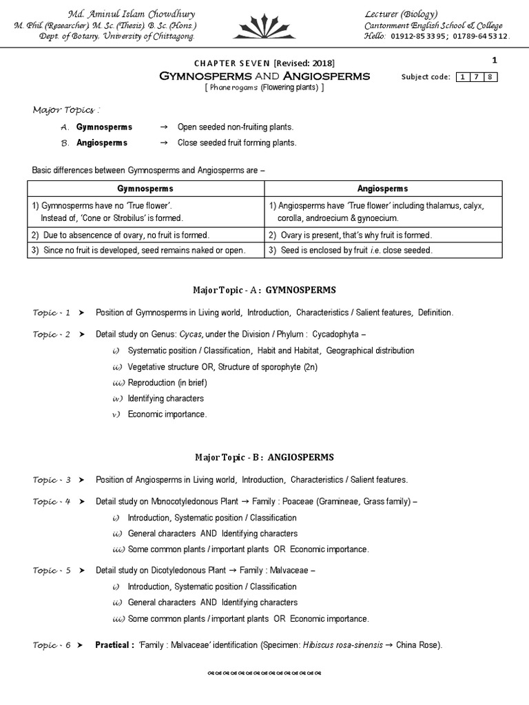 Gymnosperms vs Angiosperms Overview | PDF | Petal | Fertilisation
