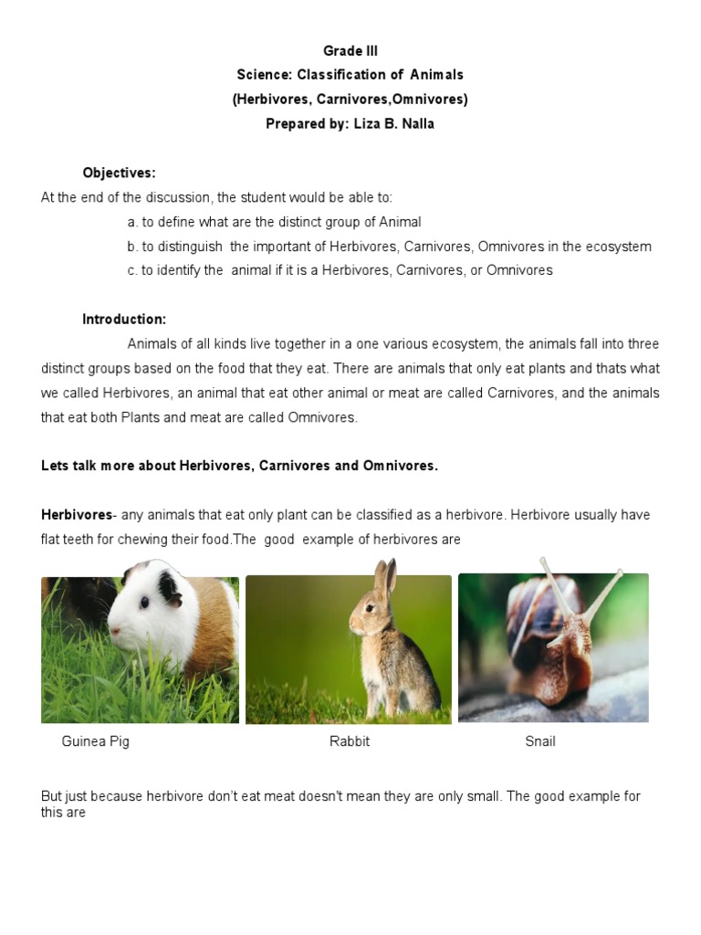 Classification of Animals: A Guide to Herbivores, Carnivores and ...