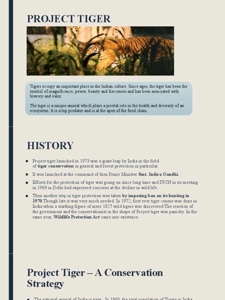 Project Tiger | PDF | Conservation Biology | Tiger