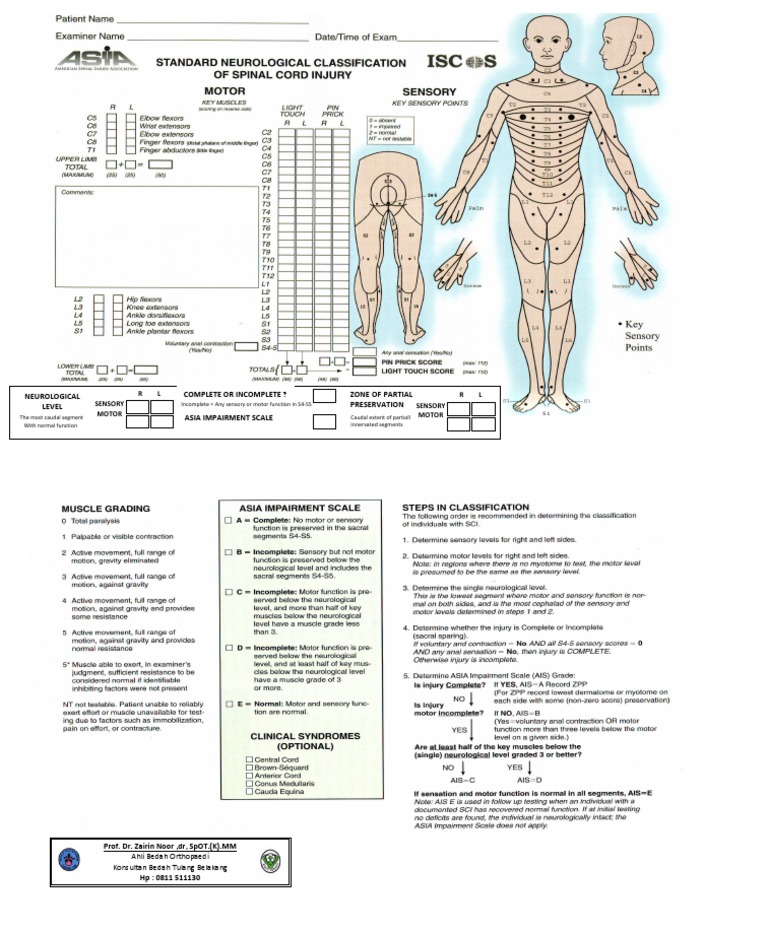 Asia Scale (Spine) - From Campbell Book | PDF | Neuroscience | Nervous ...