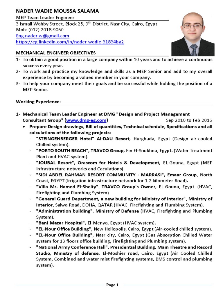 MEP Team Leader Profile: Nader Moussa | PDF | Egypt | Leadership In ...