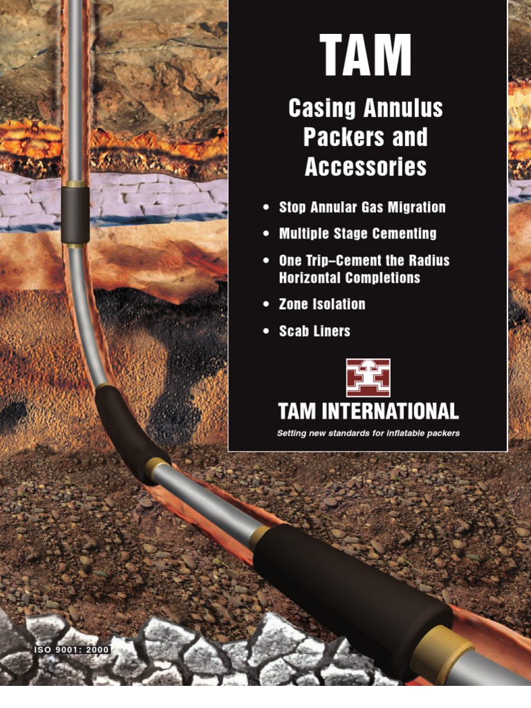 Tam Anulus Casing Packers | PDF | Casing (Borehole) | Valve