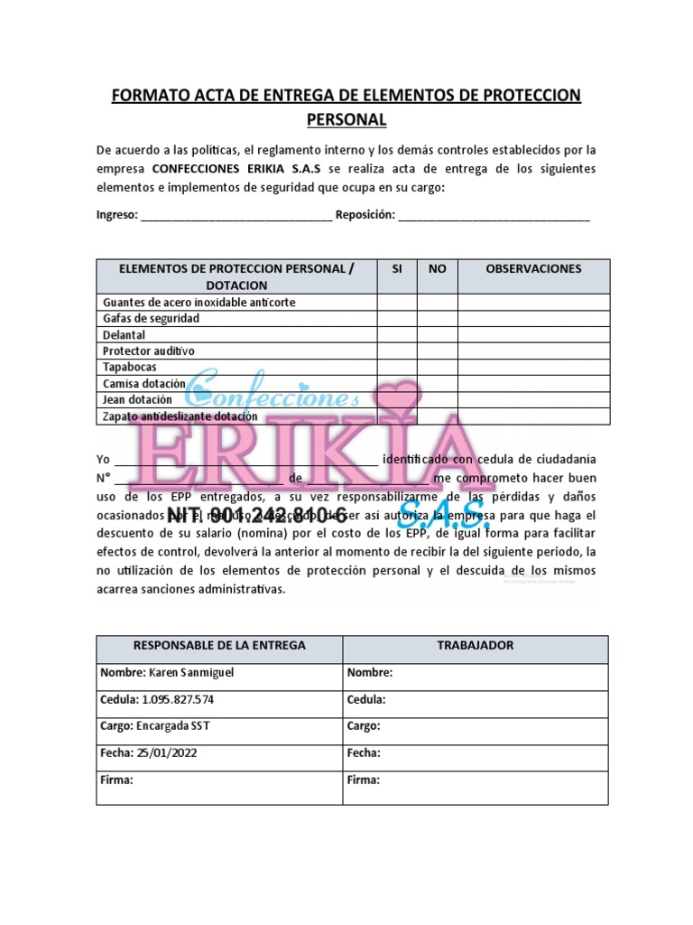 Formato Acta de Entrega de Elementos de Proteccion Personal | PDF