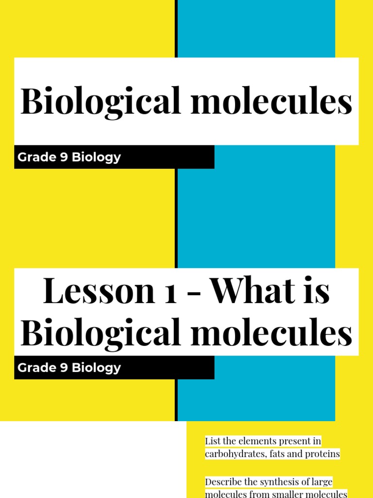 Biological Molecules: Grade 9 Biology | PDF | Carbohydrates | Biology