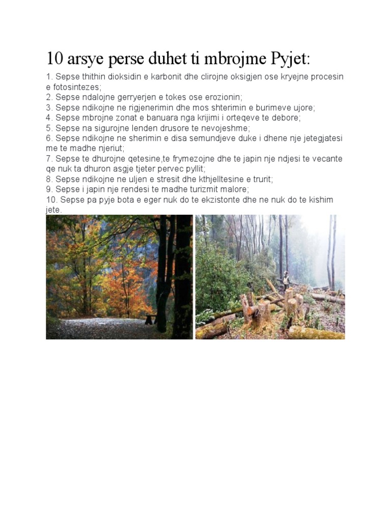 10 Arsye Perse Duhet Ti Mbrojme Pyjet | PDF