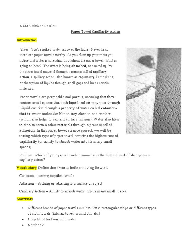 Capillary Action Lab Using Paper Towels | PDF | Materials | Chemistry
