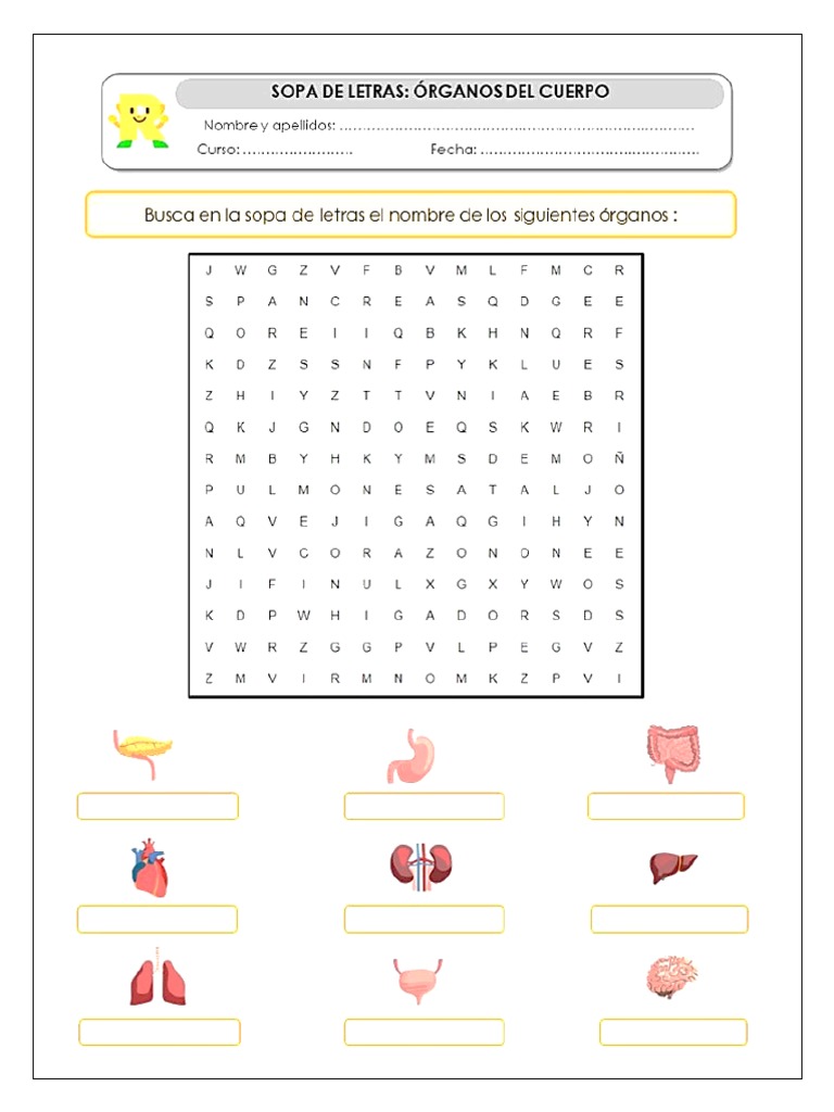 Sopa de Letras Ciencias | PDF