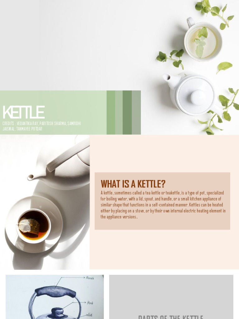 DMF ASSIGNMENT+ Profile (Autosaved) | PDF | Home | Cooking Appliances