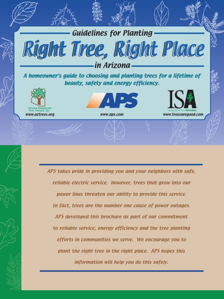 Right Tree, Right Place | PDF | Trees | Efficient Energy Use