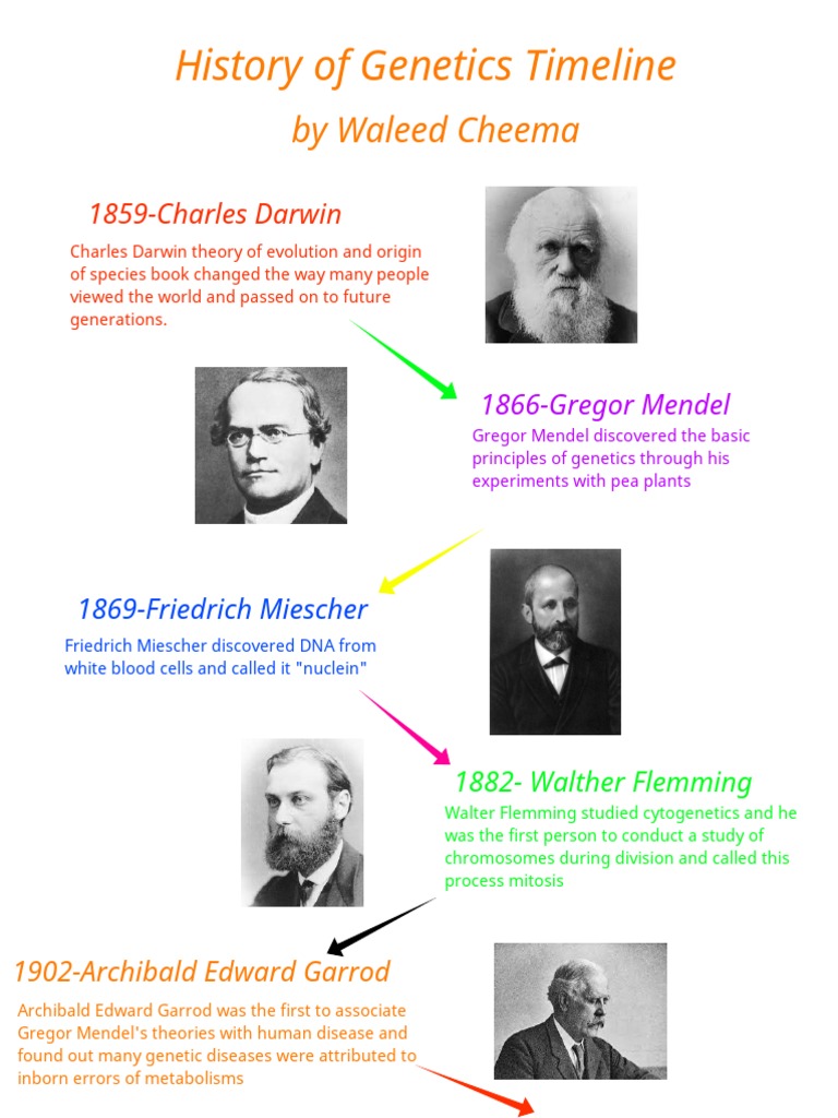 History of Genetics Timeline: by Waleed Cheema | PDF | Francis Crick ...