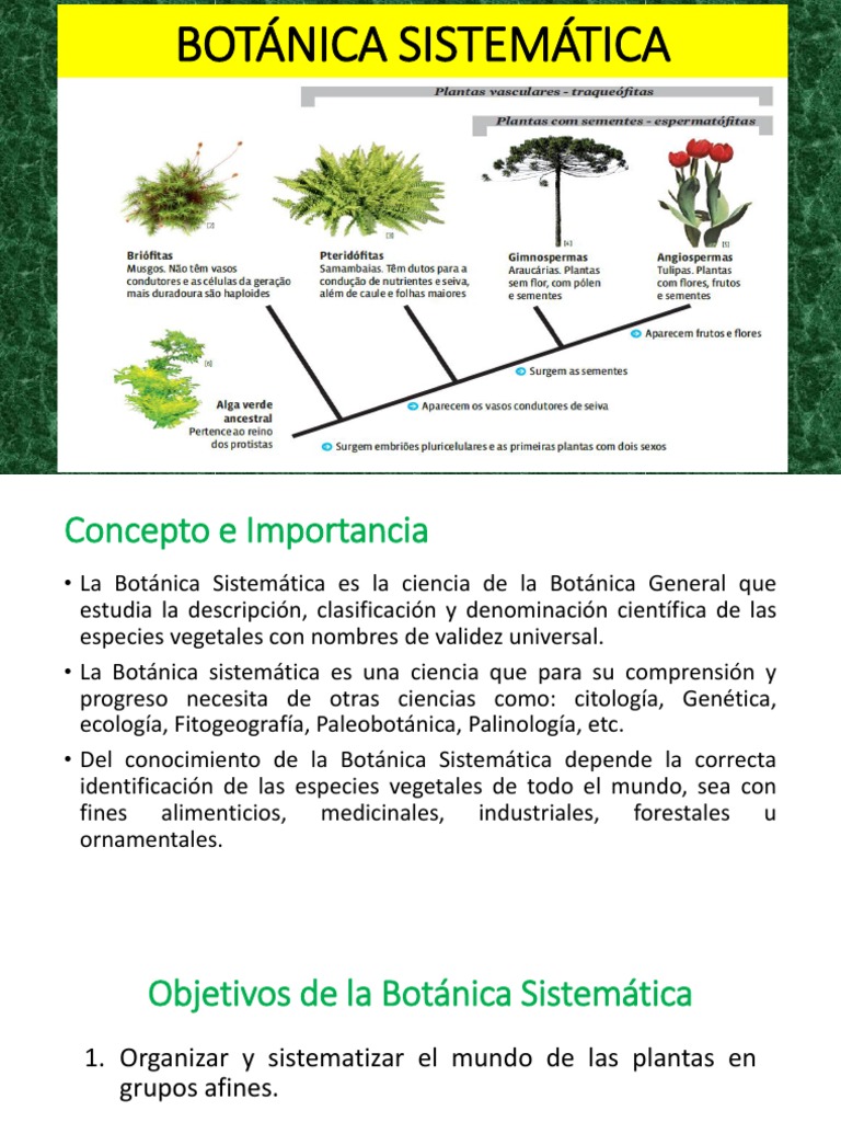 Botánica Sistemática | PDF | Botánica | Clima
