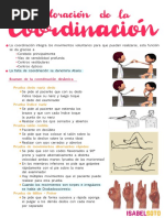 Pruebas de Galeazzi-Ellis y Signo de Adam | PDF | Salud y bienestar