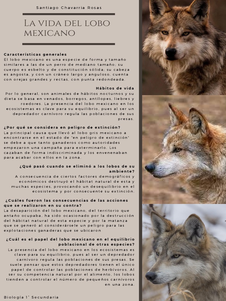 Lobo Mexicano | PDF | Ciencia y matemáticas