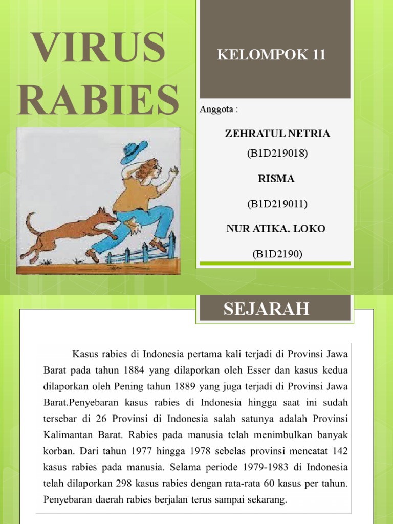 Tugas PPT Virus Rabies | PDF