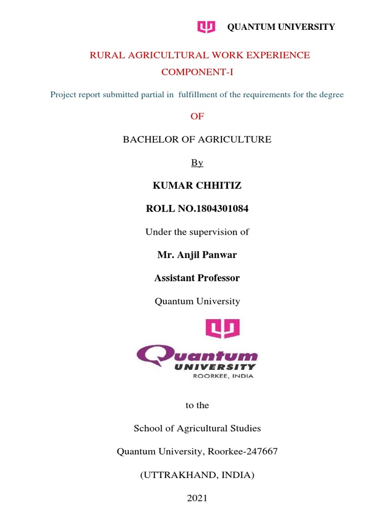 KR - Chhitiz's RAWE Report | PDF | Sowing | Vegetables