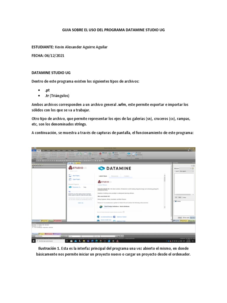 Guía de Uso de Datamine Studio UG | PDF | Archivo de computadora