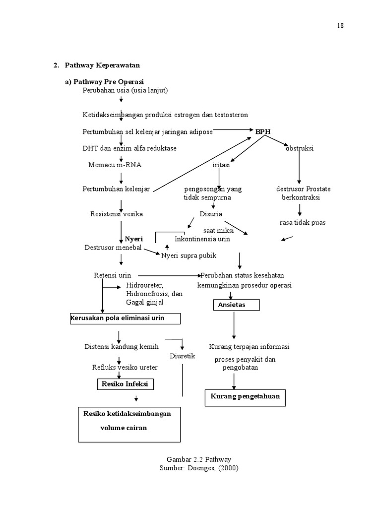 Pathway Keperawatan BPH Pre dan Post Operasi | PDF