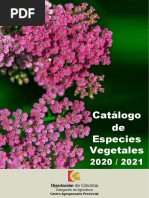 Bingo de Plantas Fotos | PDF