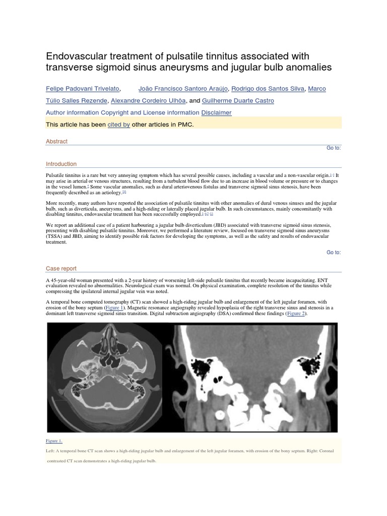 Endovasc Jug Bulb | Download Free PDF | Angiography | Interventional ...