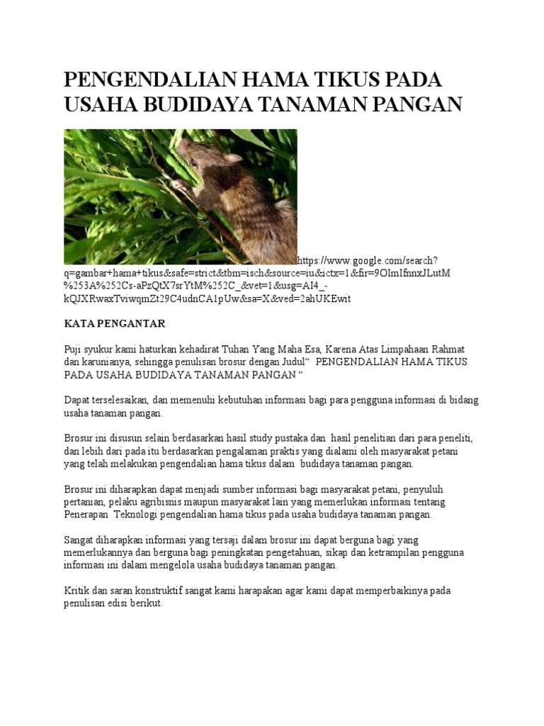 Brosur Pengendalian Hama Tikus | PDF