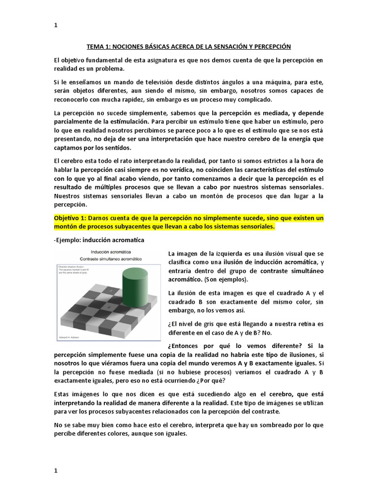 Tema 1 Nociones Básicas Acerca de La Sensación y Percepción | PDF | Percepción | Sonido