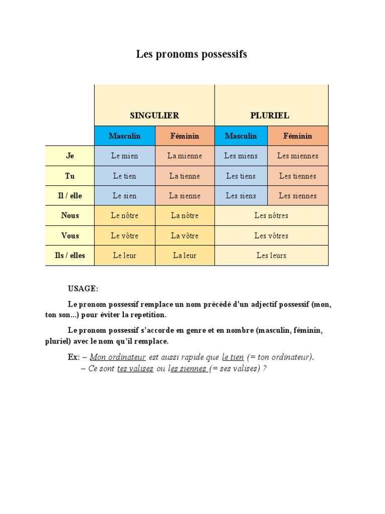 Les Pronoms Possessifs | PDF