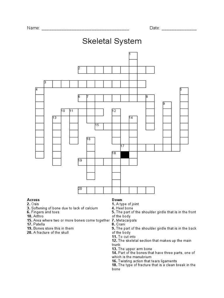 Skeletal - System CH 2 (Medical Term) | PDF