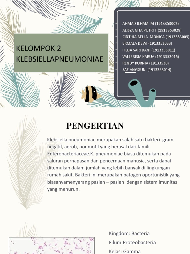 KLP 2 Klabsiella | PDF