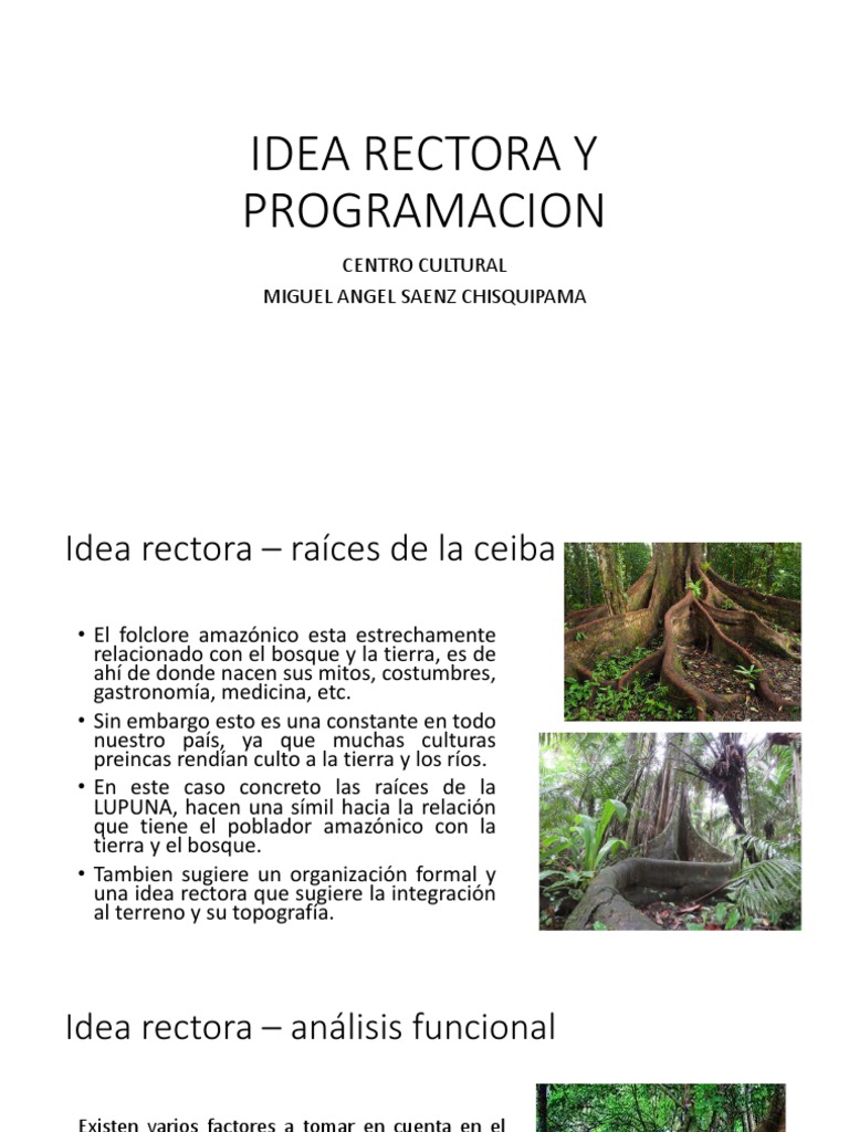 Idea Rectora y Programacion - Saenz Chisquipama | PDF
