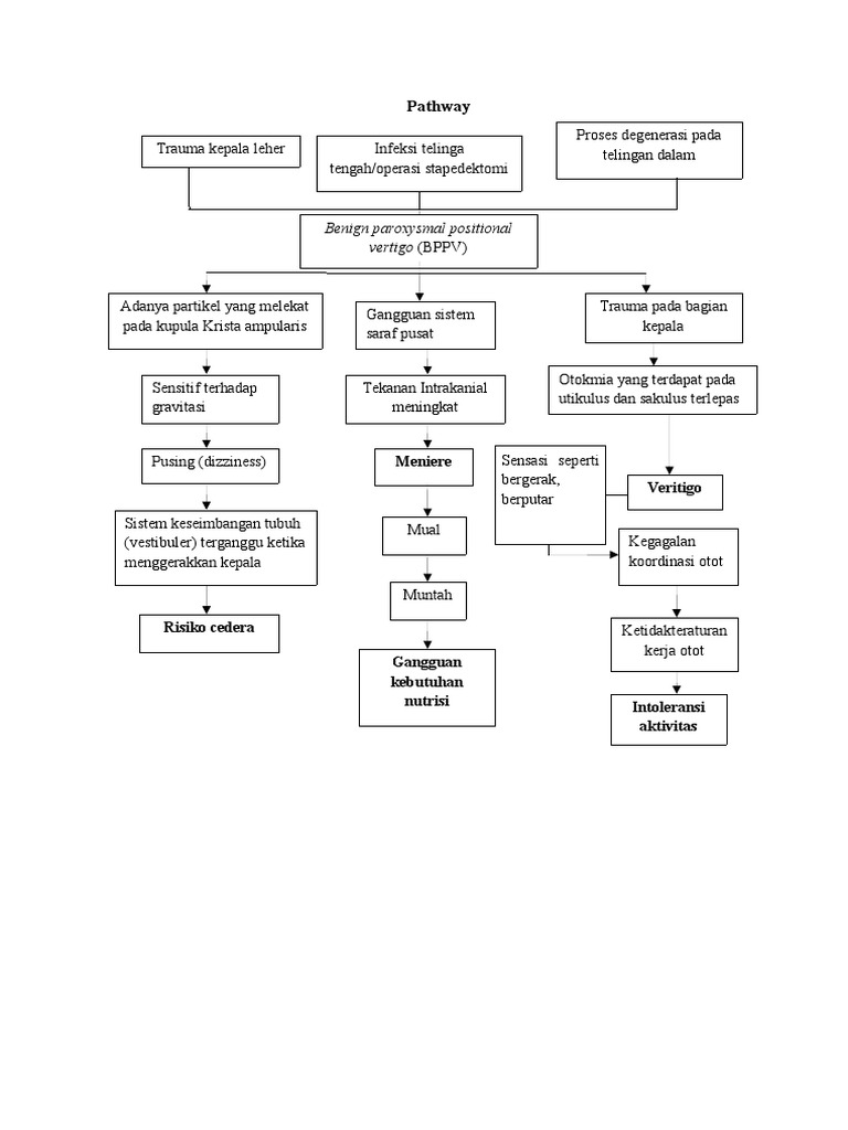 Pathway Penanganan BPPV dan Vertigo | PDF