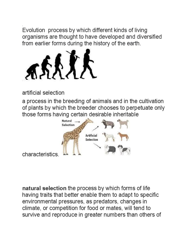 Evolution Process by Which Different Kinds of Living Organisms Are ...