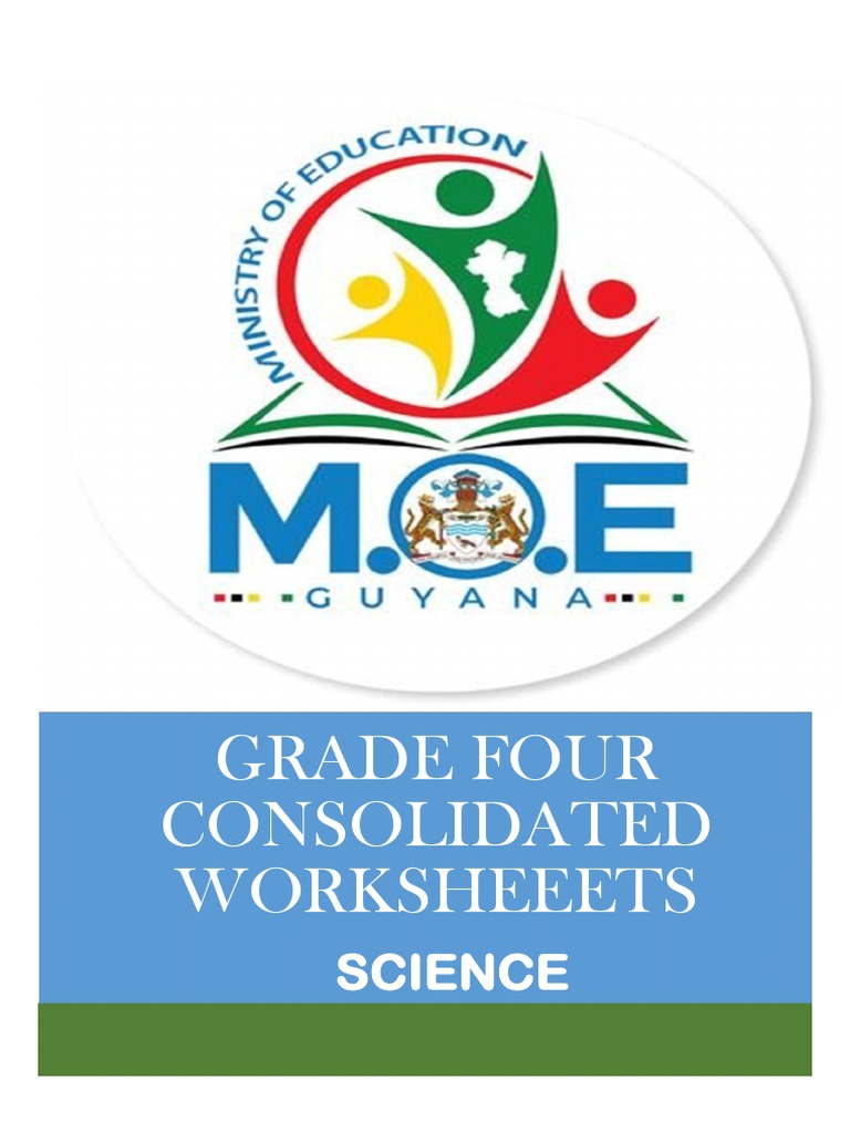 Grade Four Consolidated Worksheeets: Science | PDF | Circulatory System ...