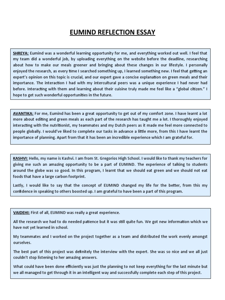Eumind Reflection Essay | PDF | Learning | Cognition