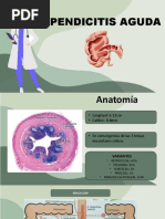 Signo de Mac Burney en Apendicitis | PDF | Sistema musculoesquelético ...
