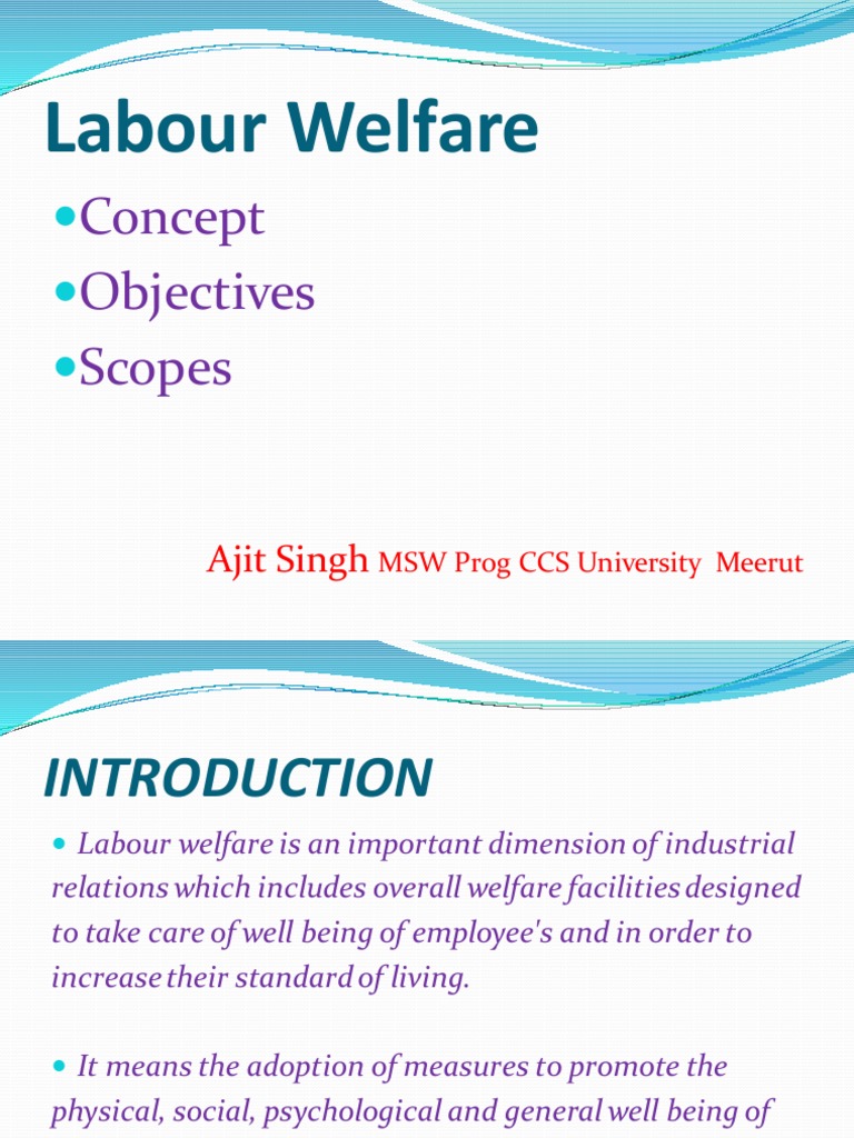 Labour Welfare | PDF | Labour Economics | Employment