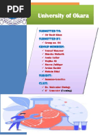 BIO CBSE 12 PROJECT On HIV/AIS | PDF | Cd4 | Hiv/Aids