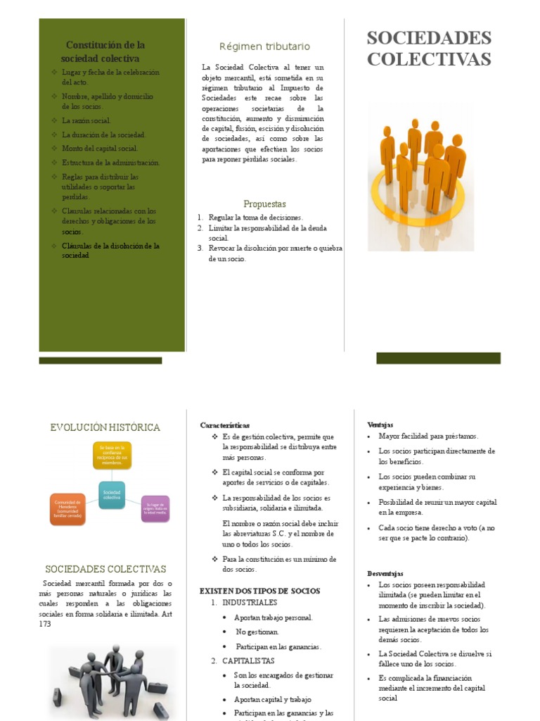Triptico Sociedades Colectivas | PDF | Sociedad General | Business