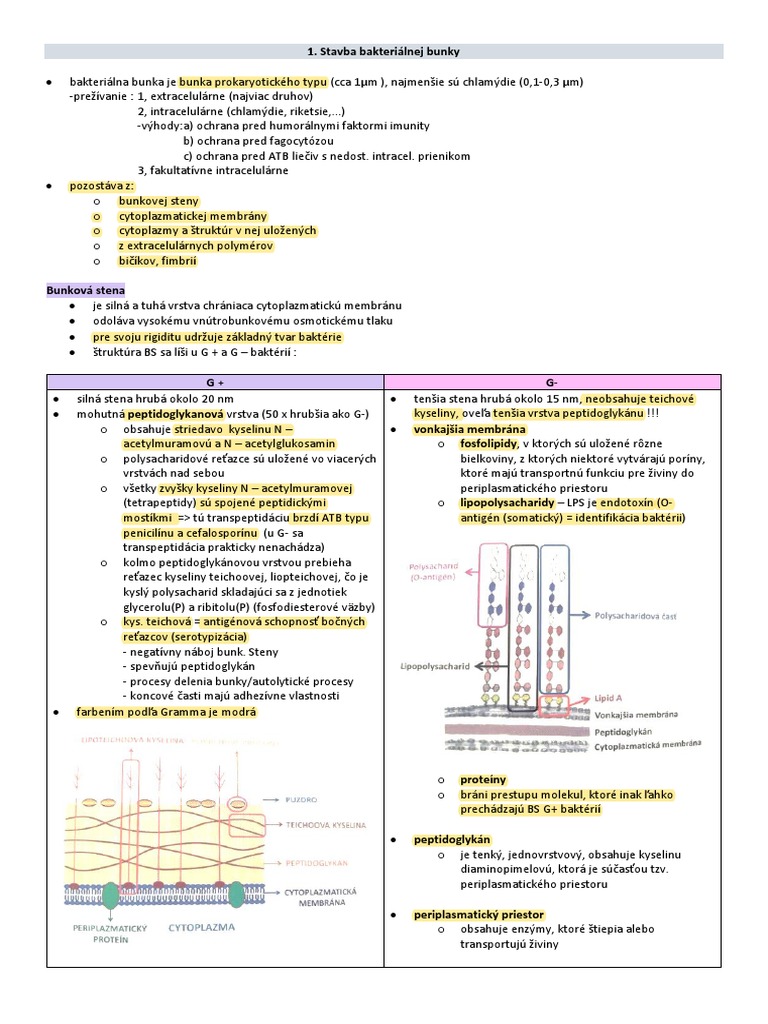 Celok Finálna Verzia | PDF