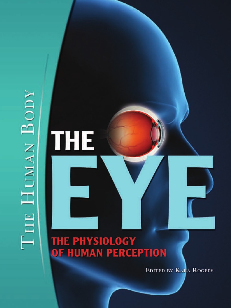 The Eye | PDF | Human Eye | Cornea