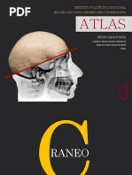 Atlas de Neuroanatomía Humana | PDF | Cráneo | Anatomía humana