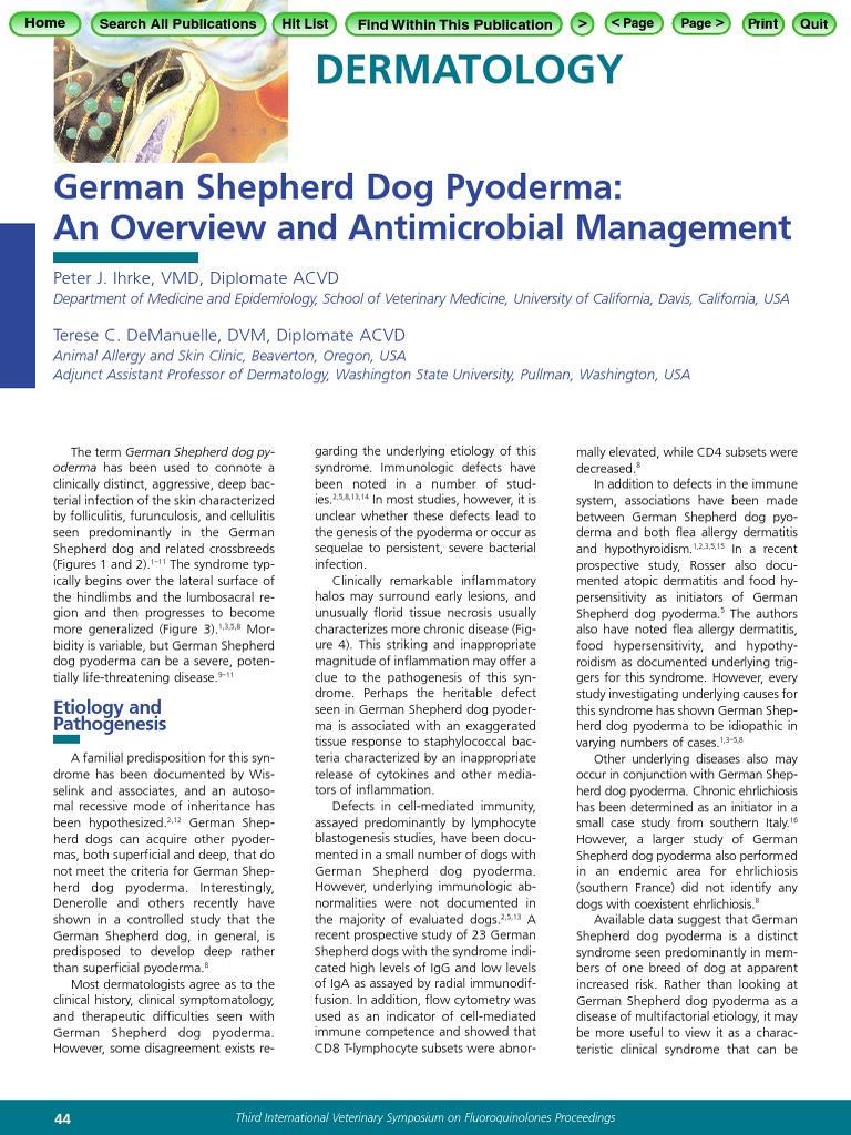 German Shepherd Dog Pyoderma Guide | PDF | Inflammation | Allergy