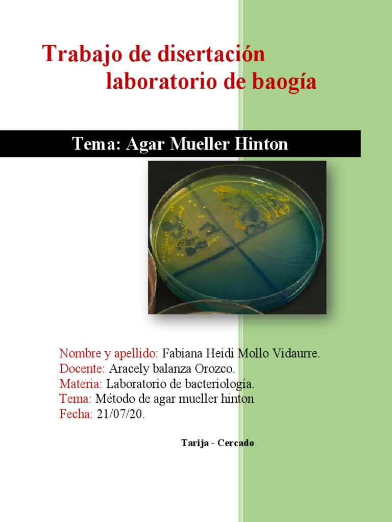 Agar Mueller Hinton Fabiana Heidi | PDF | Pseudomonas | Pseudomonas ...