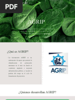 Quien Fue Jesus de Nazaret | PDF