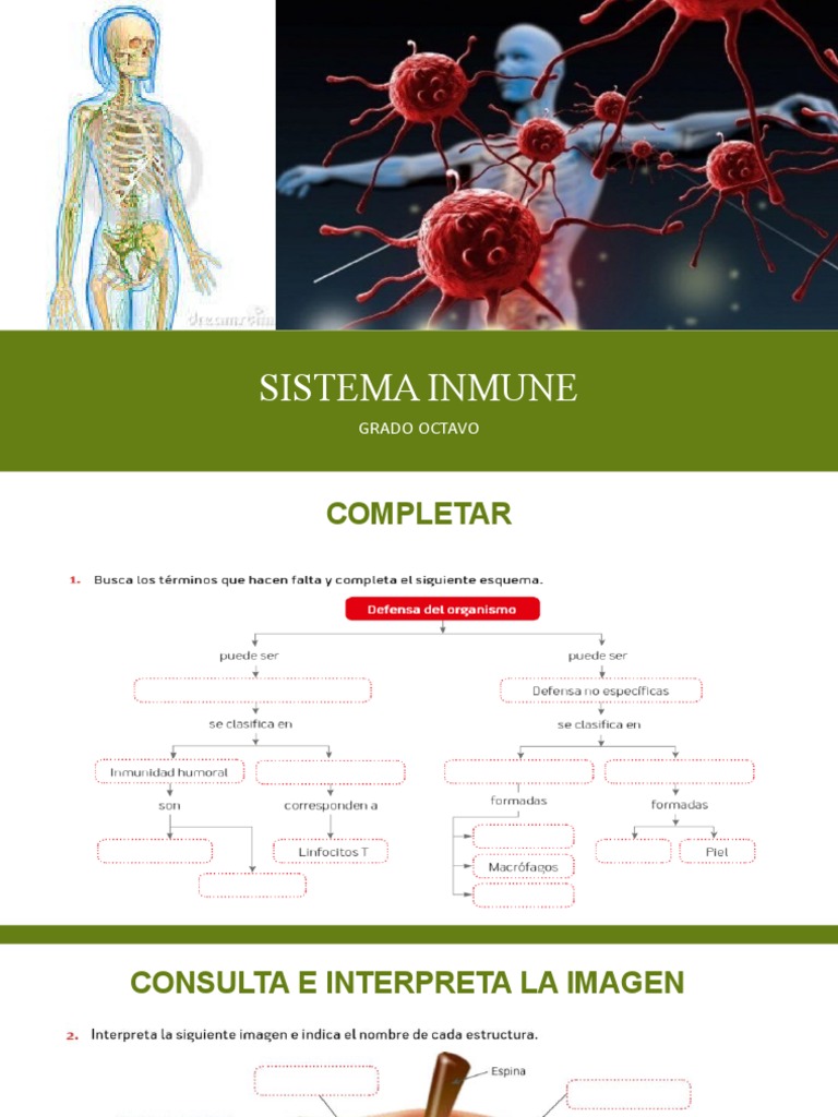 PDF Sistema Inmune | PDF