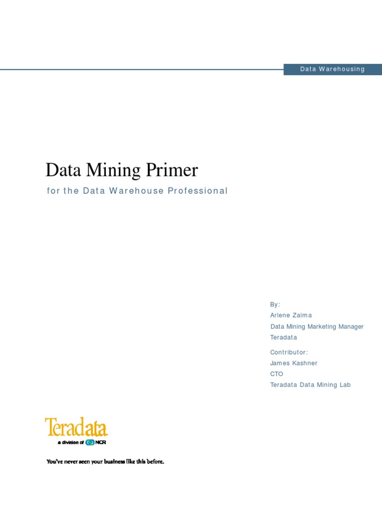 Data Mining Primer | PDF | Data Mining | Conceptual Model