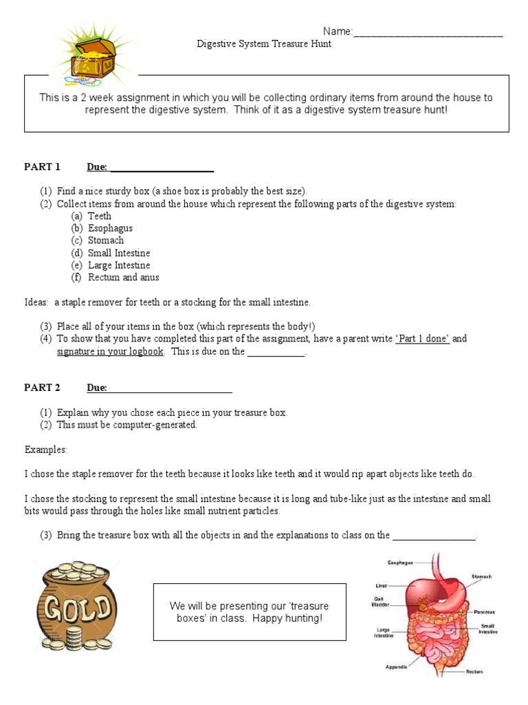 Digestive System Treasure Hunt Lesson 2 | PDF | Foreign Language ...