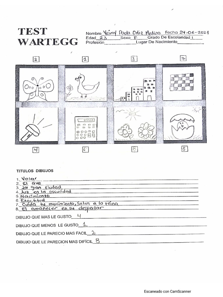 Test Wartegg | PDF