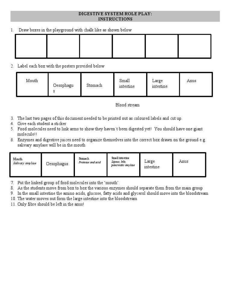 Digestive System Roleplay Lesson 2 | PDF